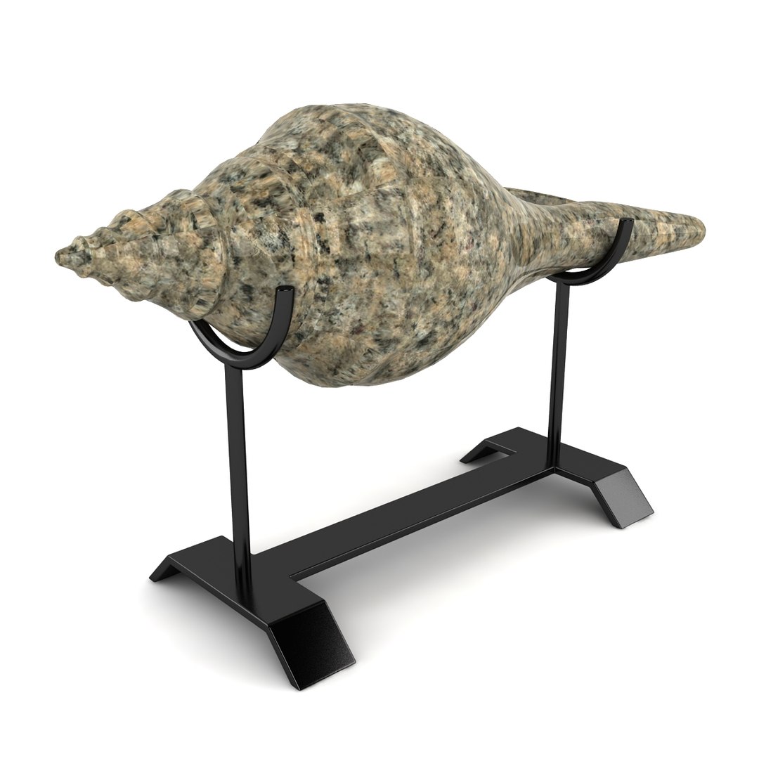 shell sculpture stand 3d model