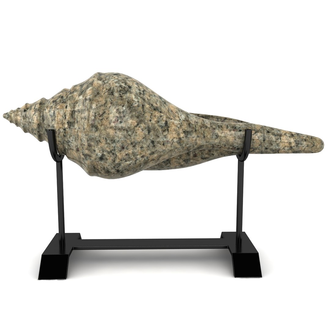 shell sculpture stand 3d model