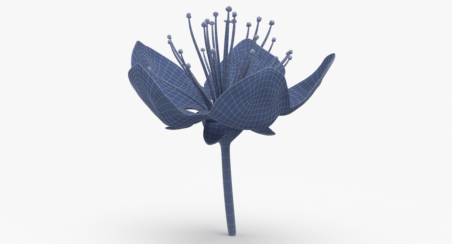 3D Prop 18 Cherry Blossom Sprig Type 01 Model - TurboSquid 2146767