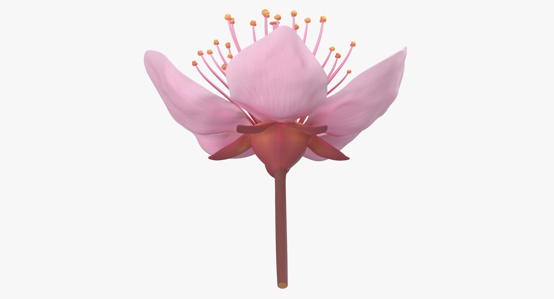 3D Prop 18 Cherry Blossom Sprig Type 01 Model - TurboSquid 2146767