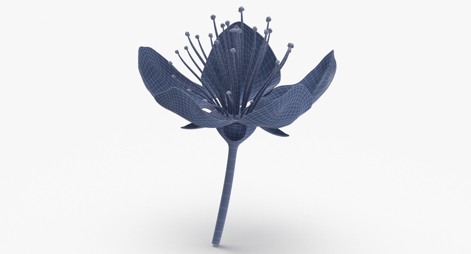 3D Prop 18 Cherry Blossom Sprig Type 01 Model - TurboSquid 2146767