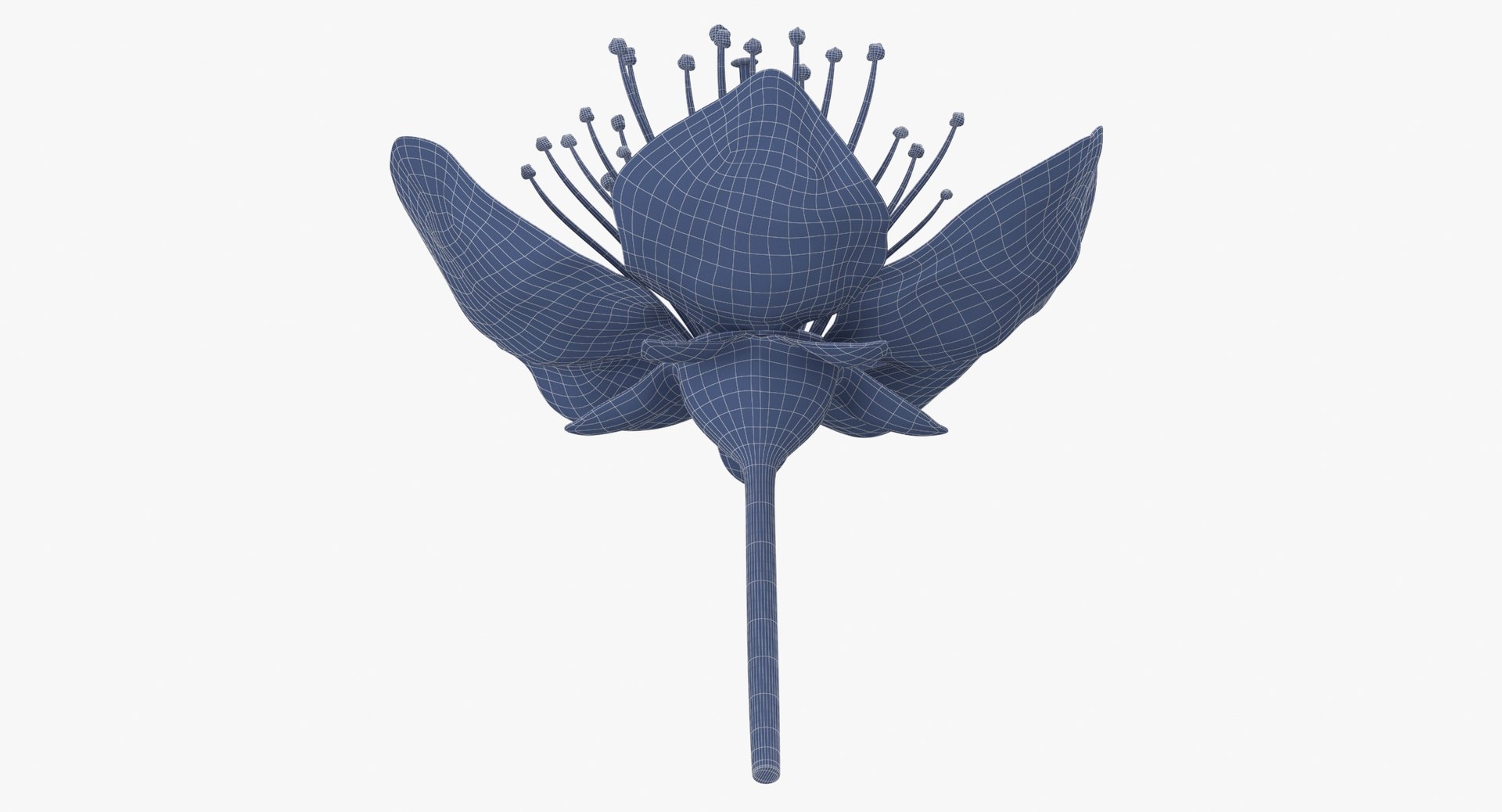 3D Prop 18 Cherry Blossom Sprig Type 01 Model - TurboSquid 2146767