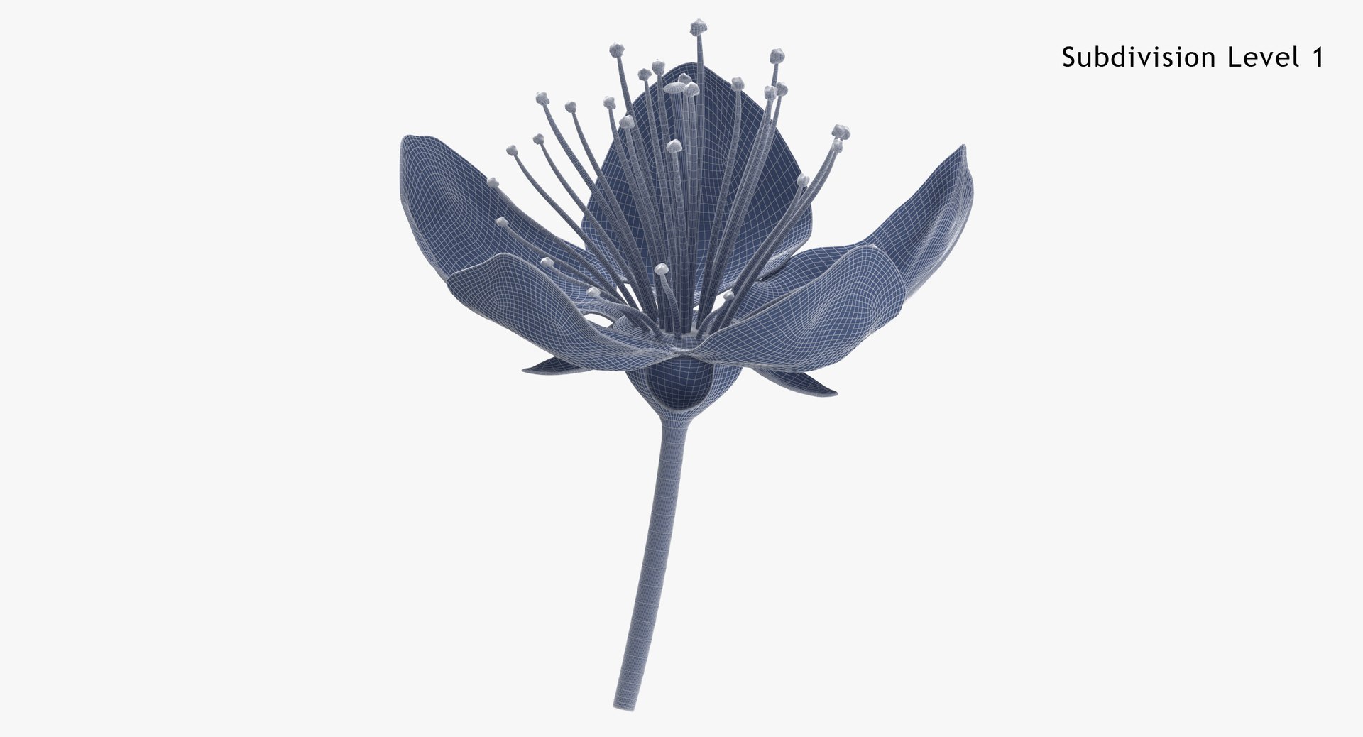 3D Prop 18 Cherry Blossom Sprig Type 01 Model - TurboSquid 2146767