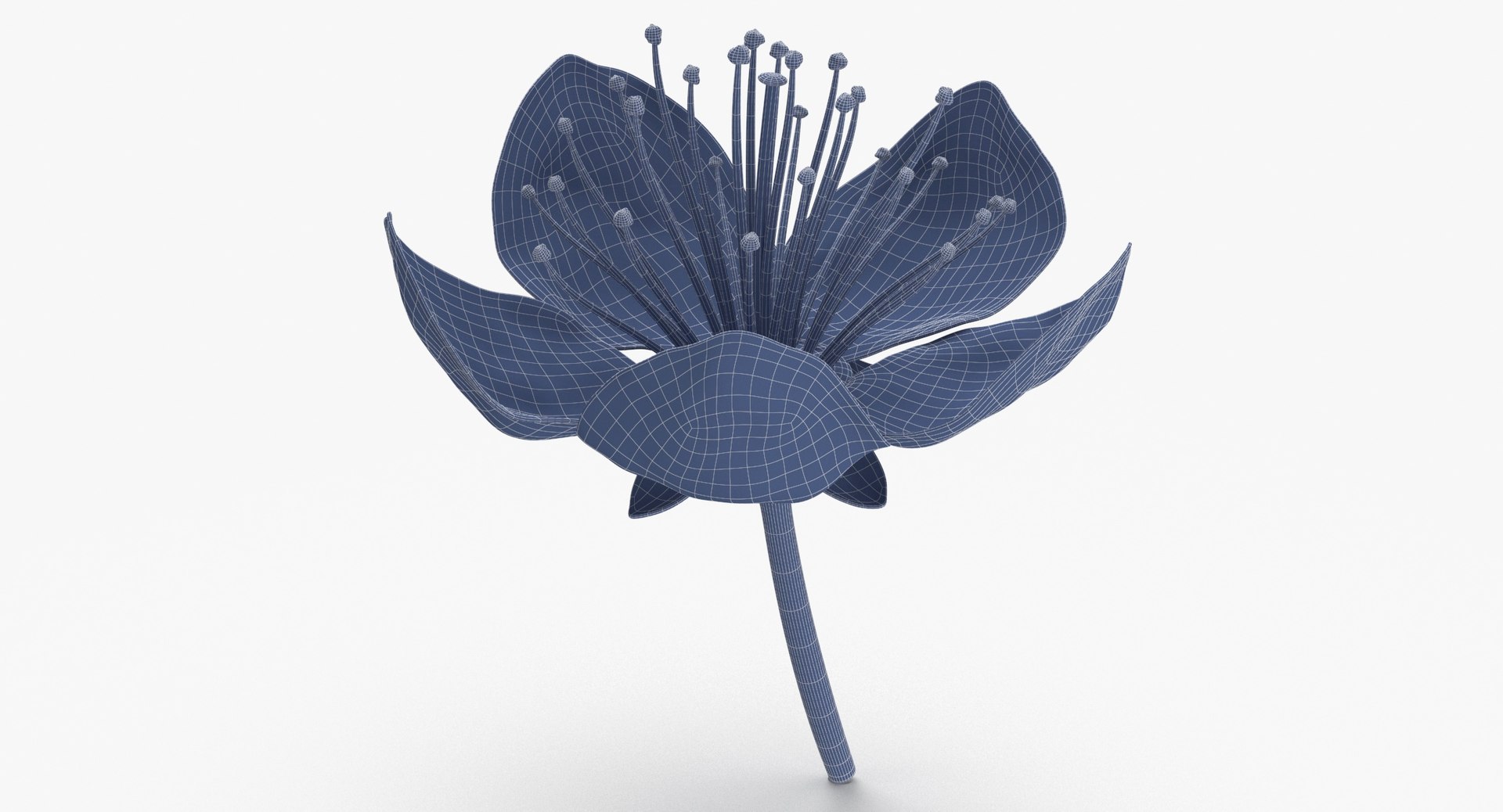 3D Prop 18 Cherry Blossom Sprig Type 01 Model - TurboSquid 2146767