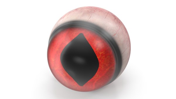 modelo 3d Ojo de rana arborícola realista - TurboSquid 2196938