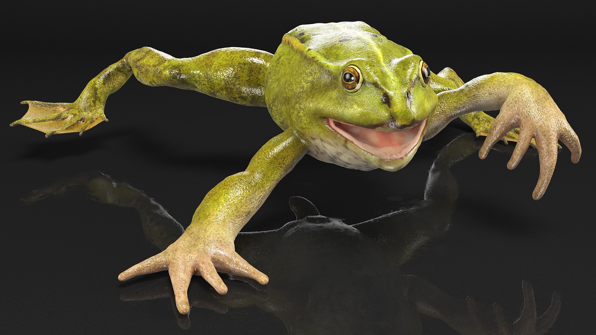 3D Model Froglet Rigged - TurboSquid 1715317