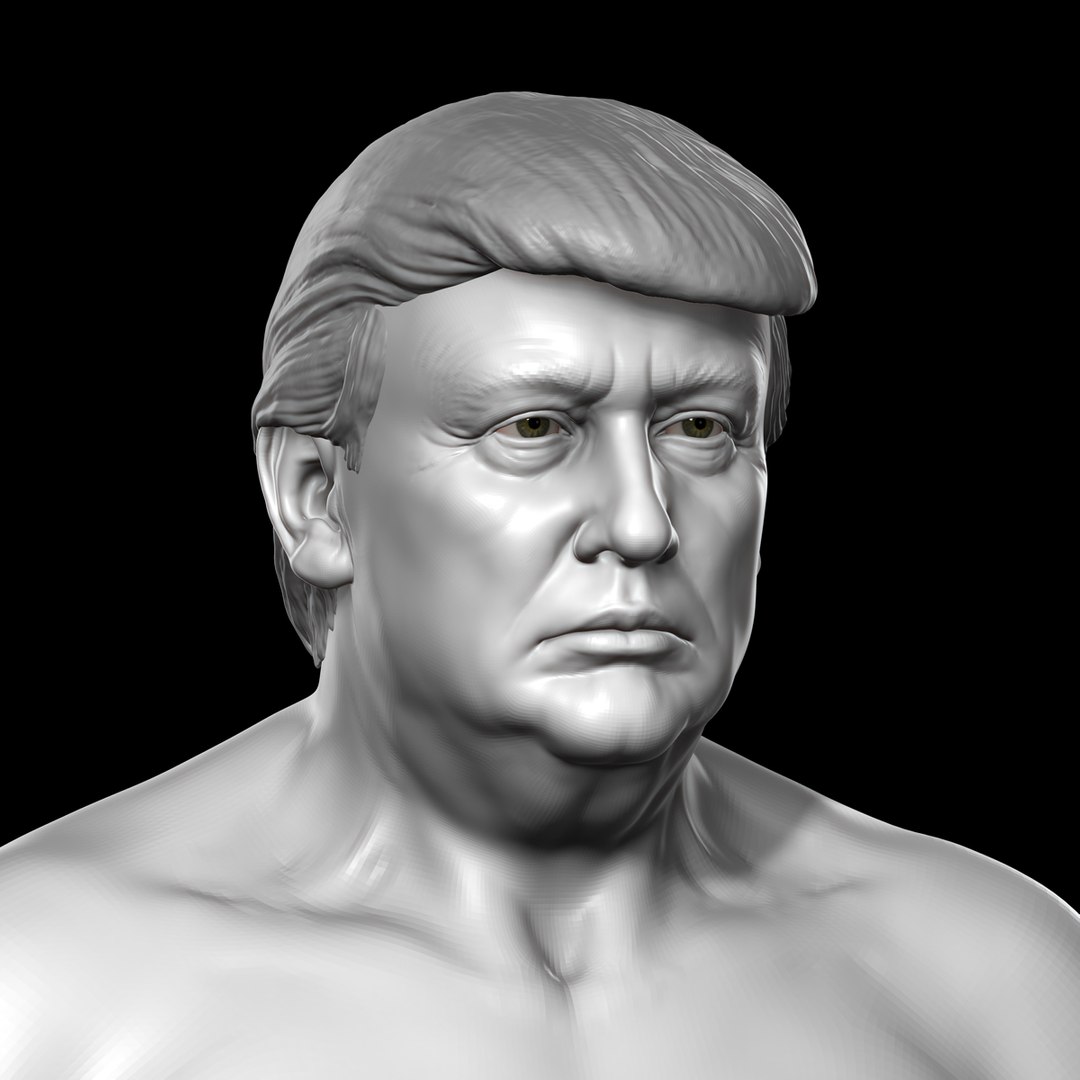 3D Donald Trump Body Model - TurboSquid 1303059