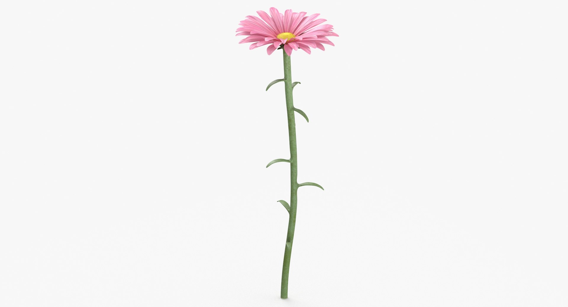 Prop 27 Small Flowers Type 01 3D Model - TurboSquid 2148079