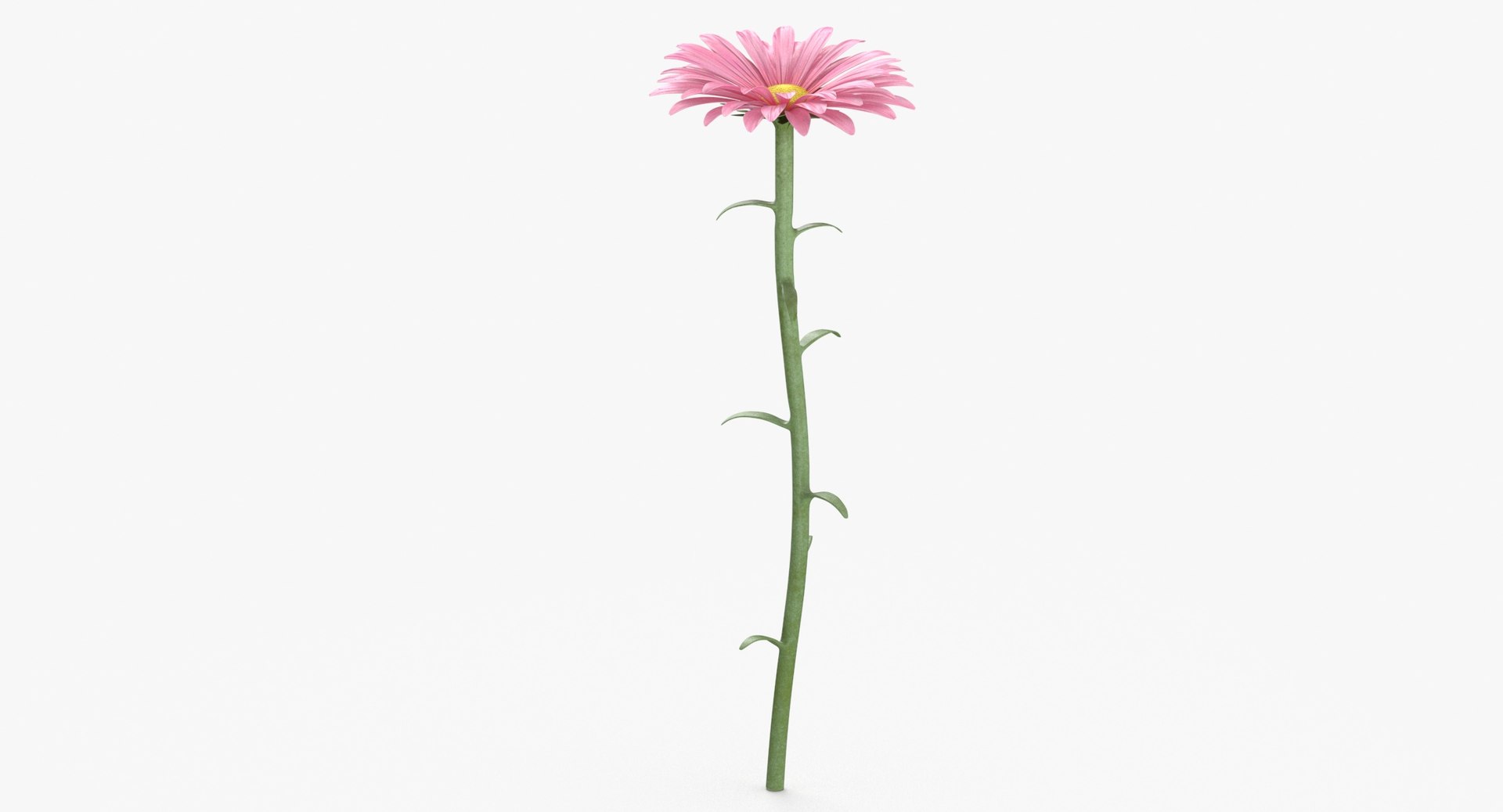 Prop 27 Small Flowers Type 01 3D Model - TurboSquid 2148079