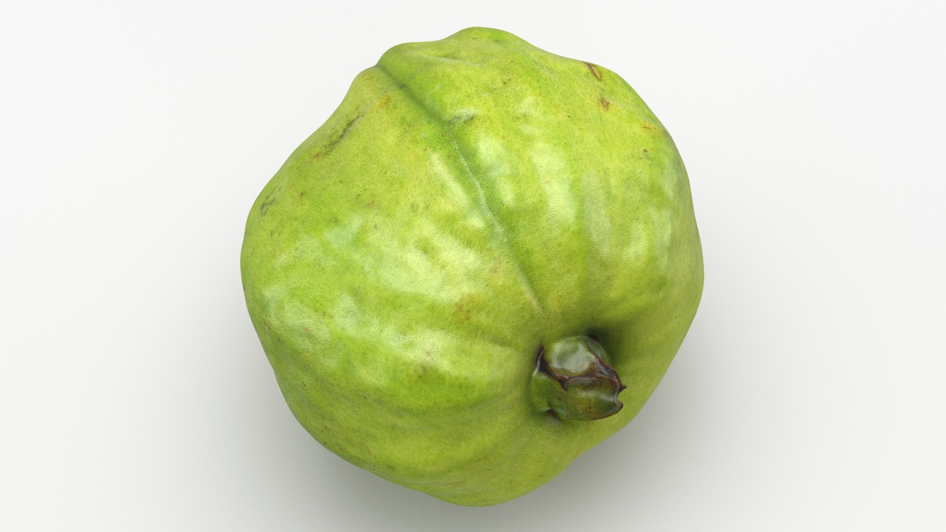 3D Guava - TurboSquid 1755111