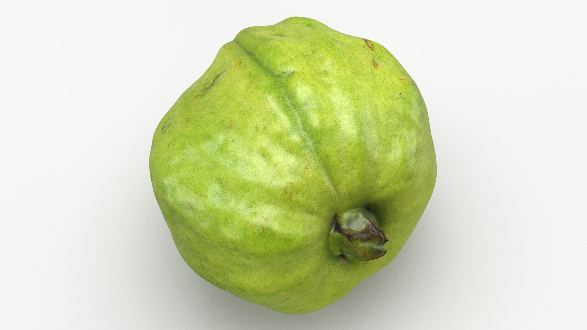 3D Guava - TurboSquid 1755111