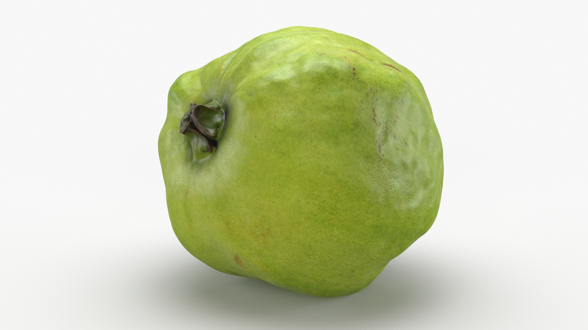 3D Guava - TurboSquid 1755111