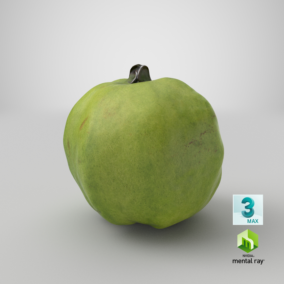 3D Guava - TurboSquid 1755111