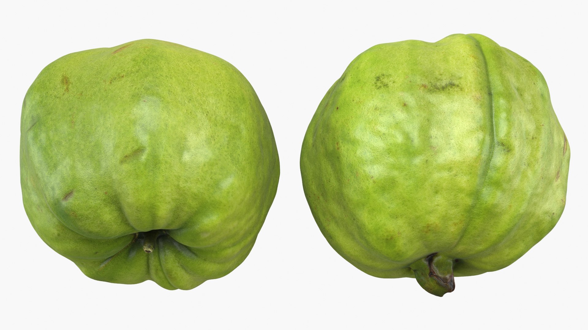 3D Guava - TurboSquid 1755111