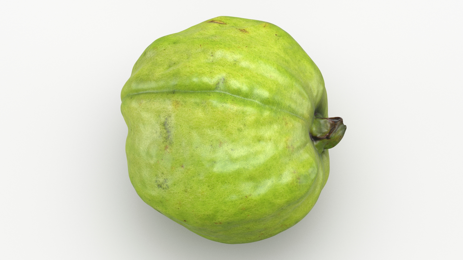 3D Guava - TurboSquid 1755111