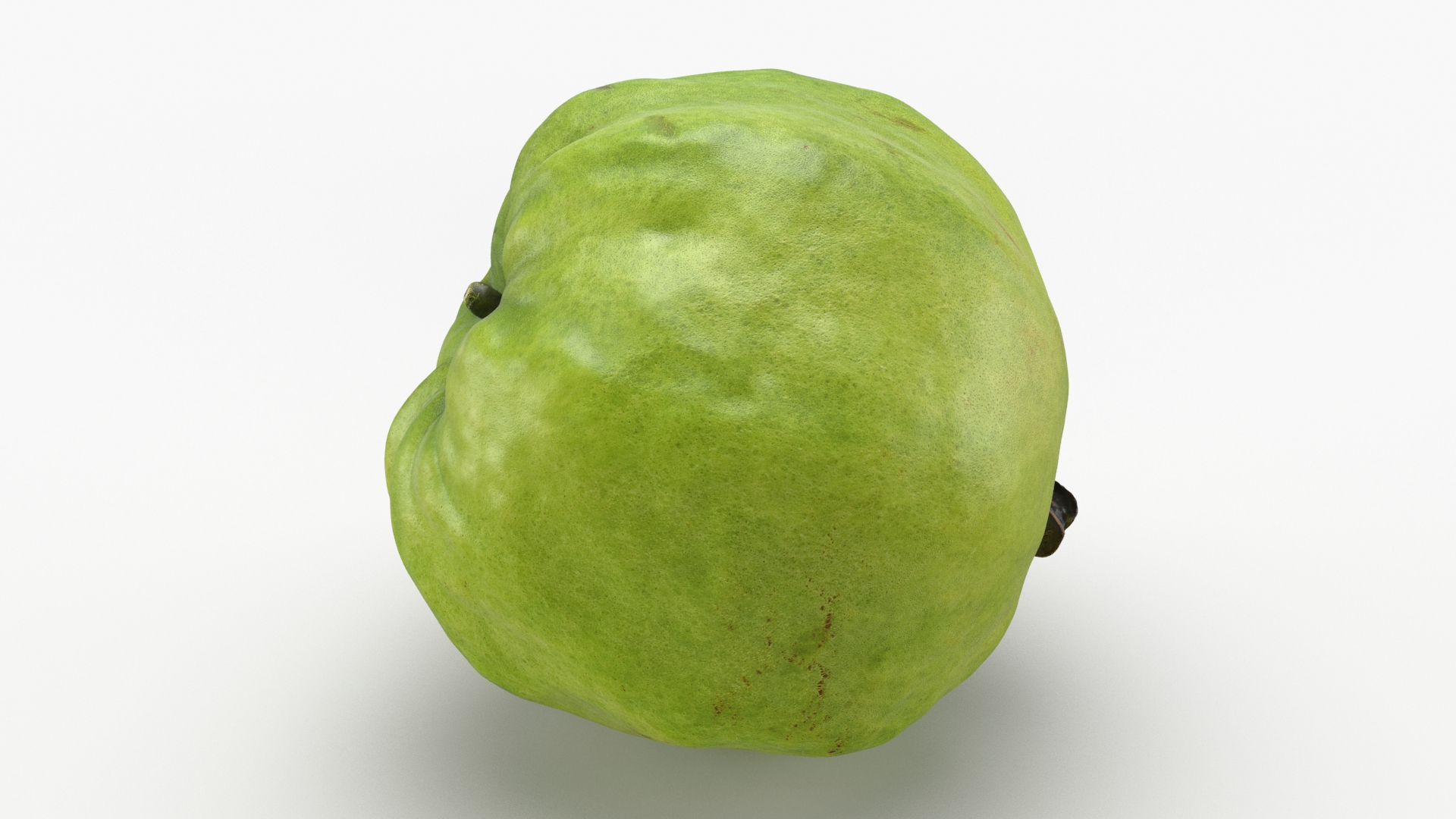 3D Guava - TurboSquid 1755111