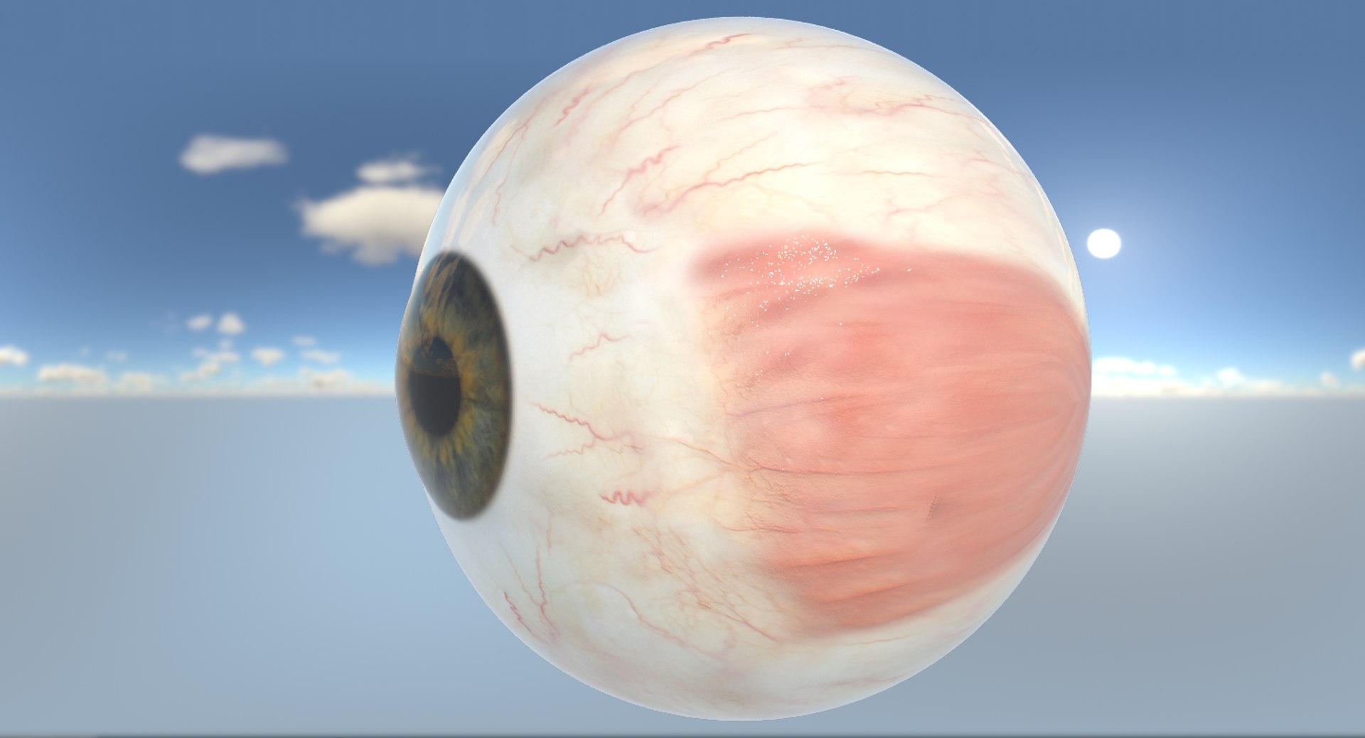 Max Realistic Human Eye Iris