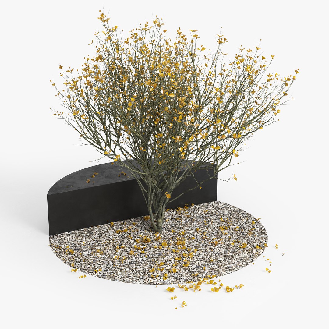 3D model tree bush plant - TurboSquid 1652935