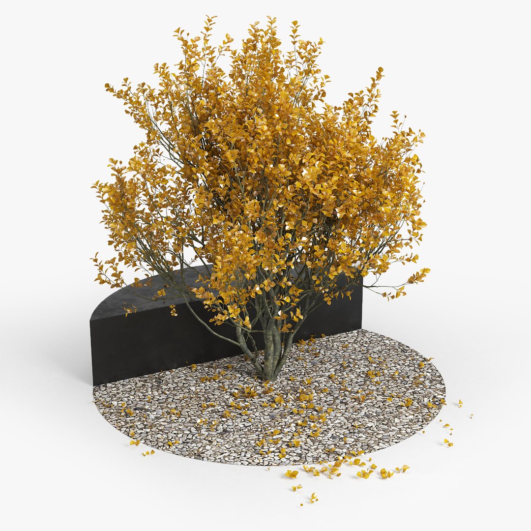 3D model tree bush plant - TurboSquid 1652935