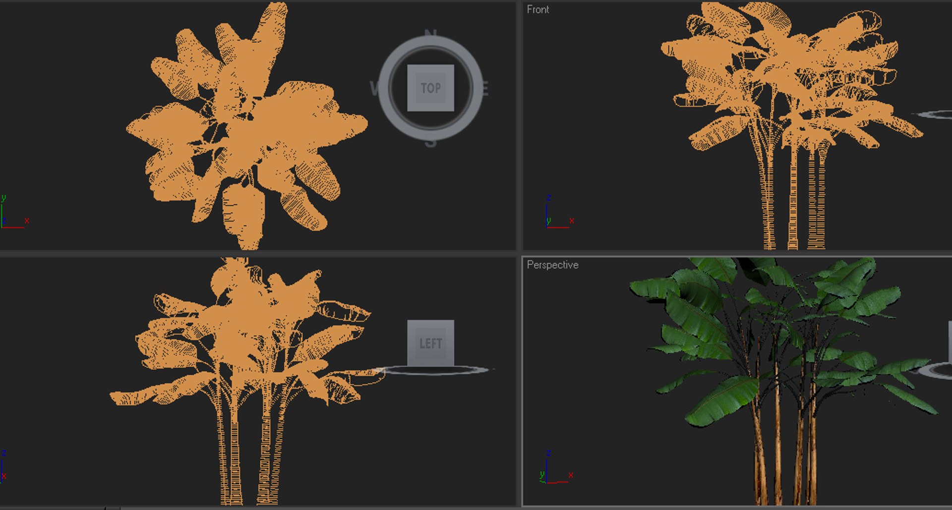 3d Banana Musa Model