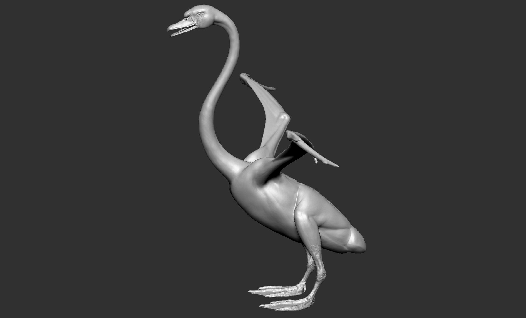 Swan VFX Zbrush Sculpture Digitale 3D - TurboSquid 1844946