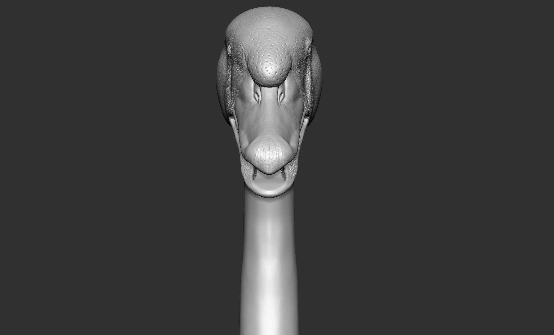 Swan VFX Zbrush Sculpture Digitale 3D - TurboSquid 1844946