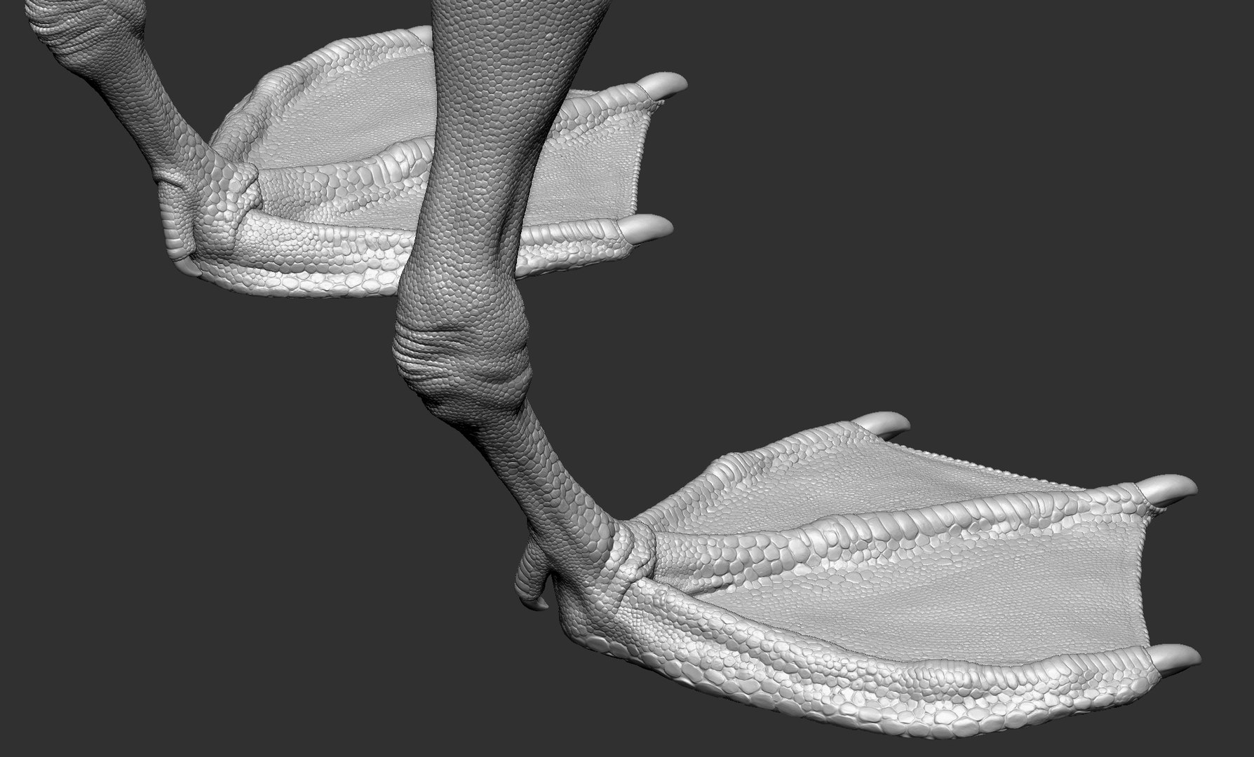 Swan VFX Zbrush Sculpture Digitale 3D - TurboSquid 1844946