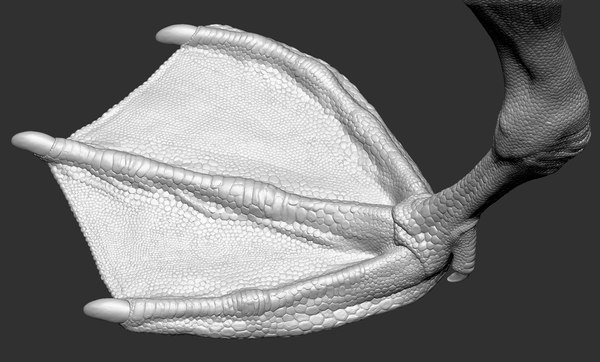 Swan VFX Zbrush Sculpture digitale 3D - TurboSquid 1844946