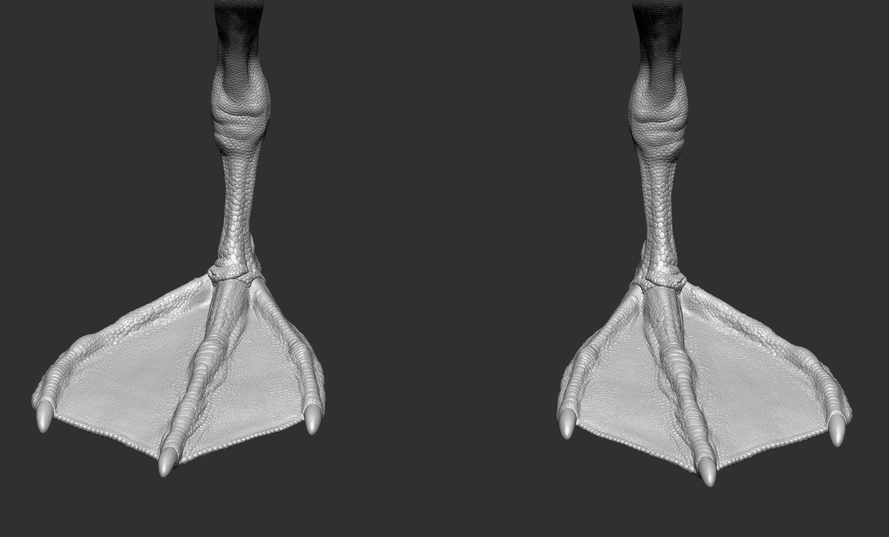 Swan VFX Zbrush Sculpture Digitale 3D - TurboSquid 1844946
