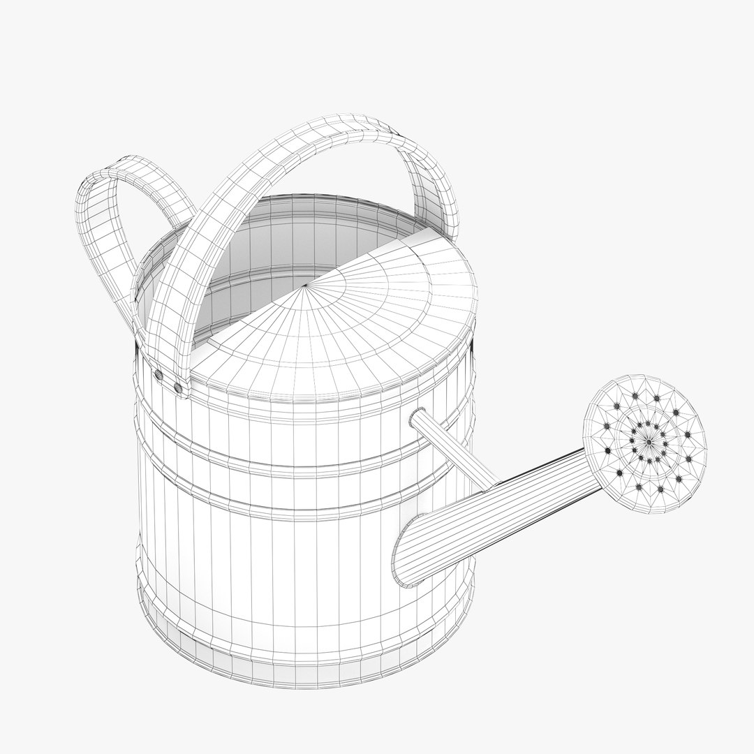 3D Model Watering Can - TurboSquid 1851120