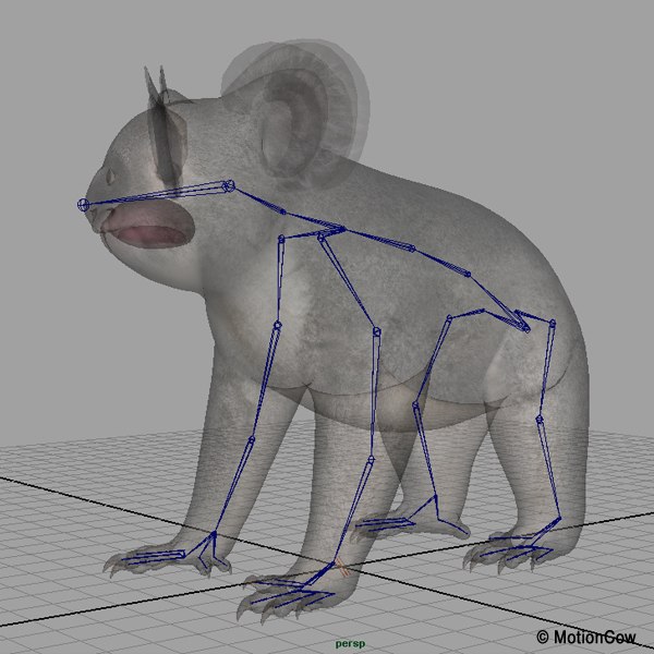3d model realistic rigged animation