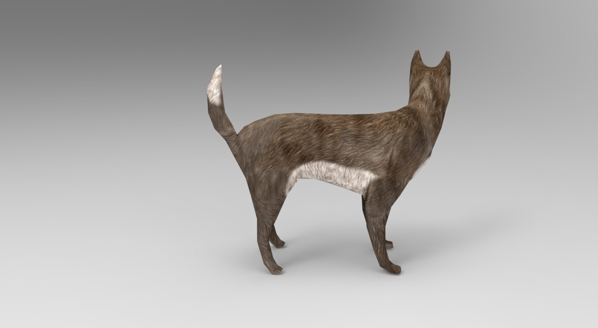 German Shepherd Dog Rigged 3D Model - TurboSquid 1204103
