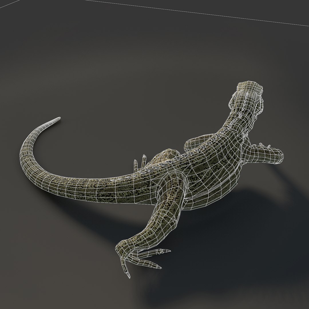 3d iguana rig animation model