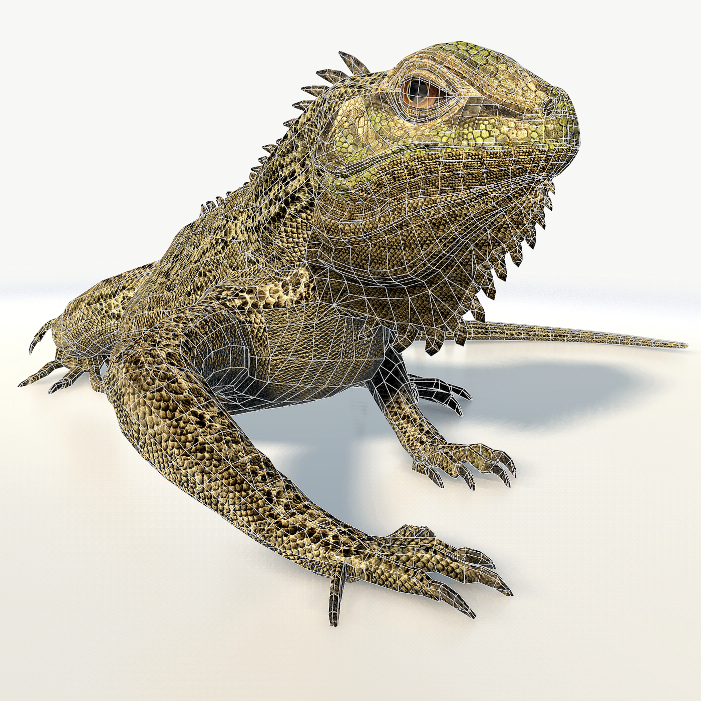 3d iguana rig animation model