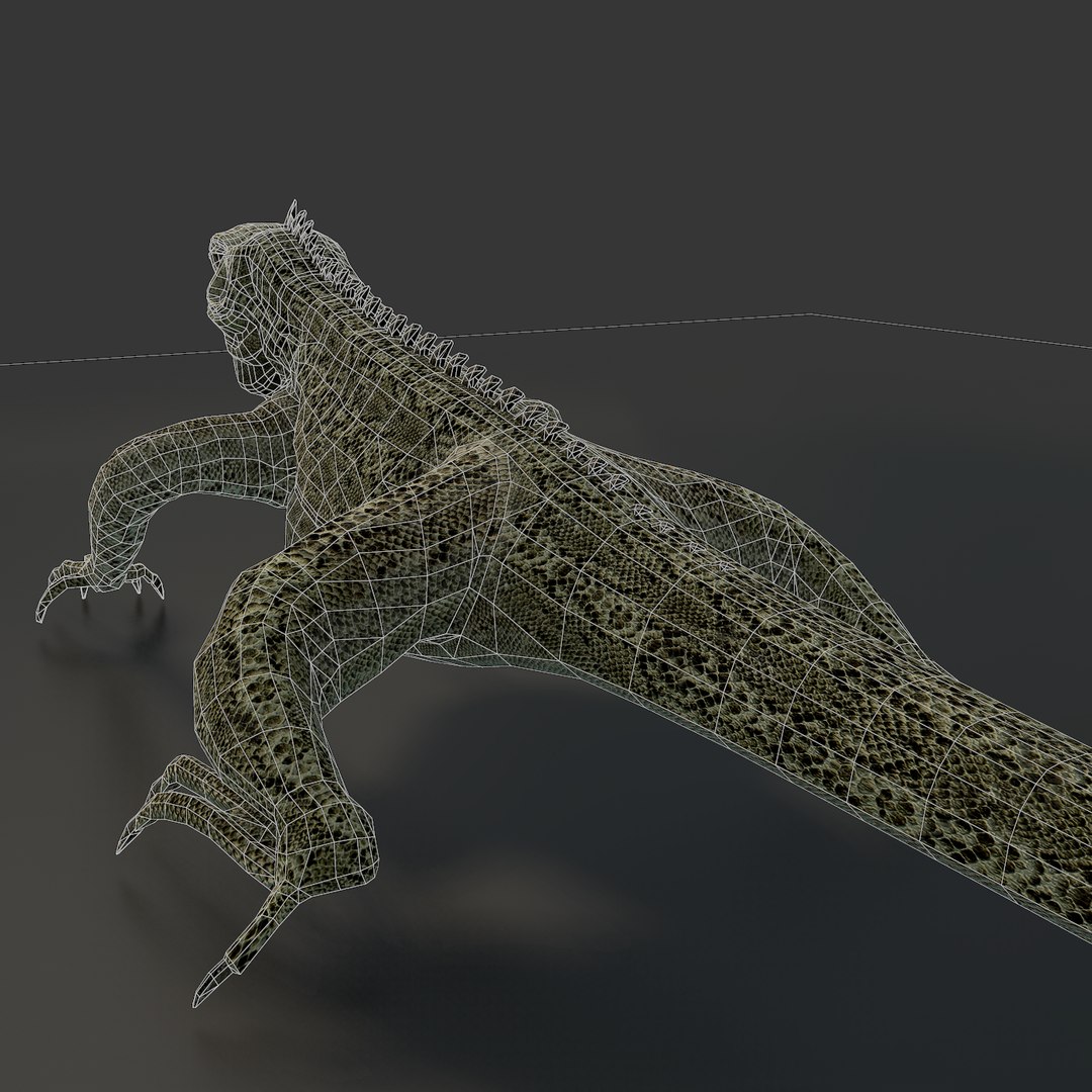3d iguana rig animation model