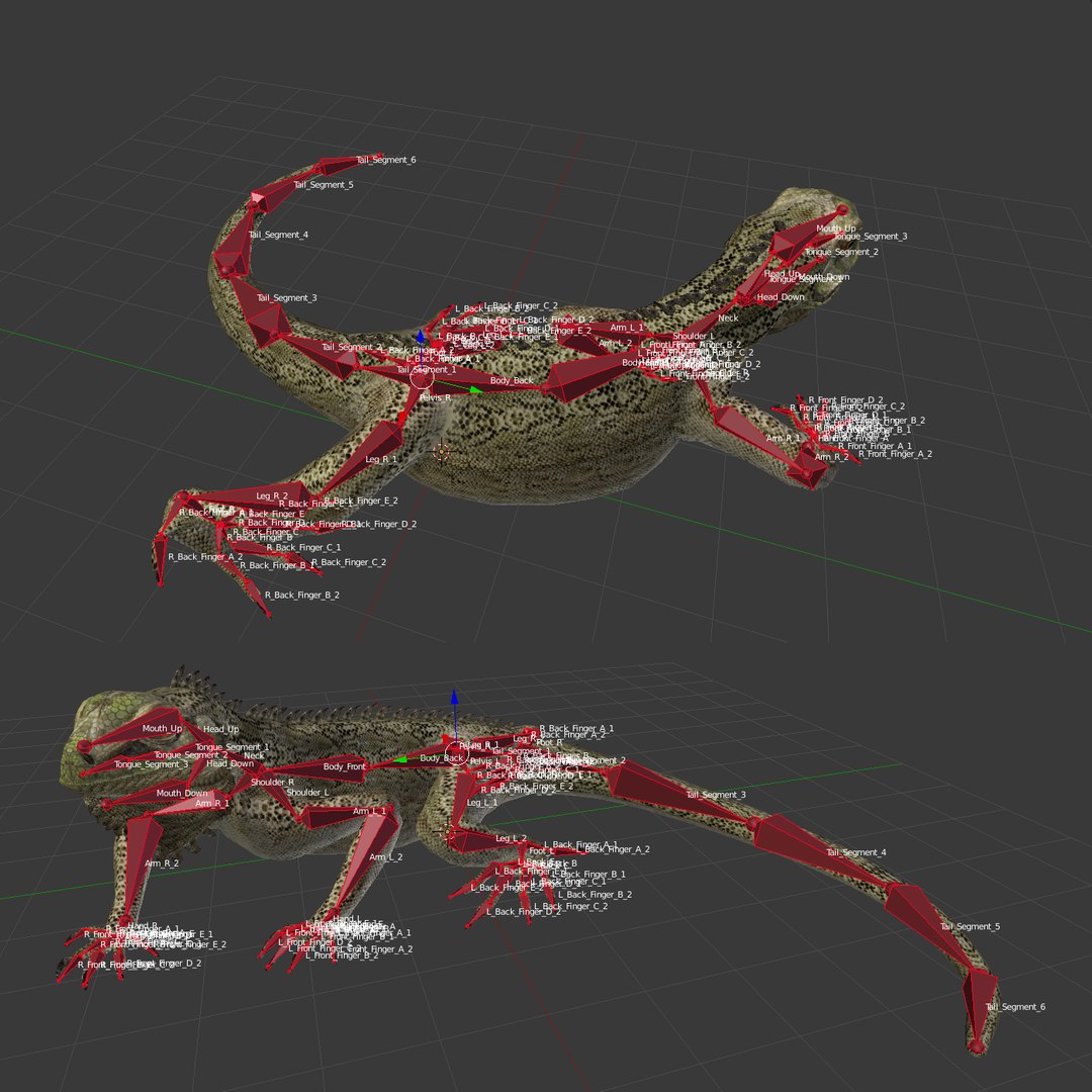 3d iguana rig animation model