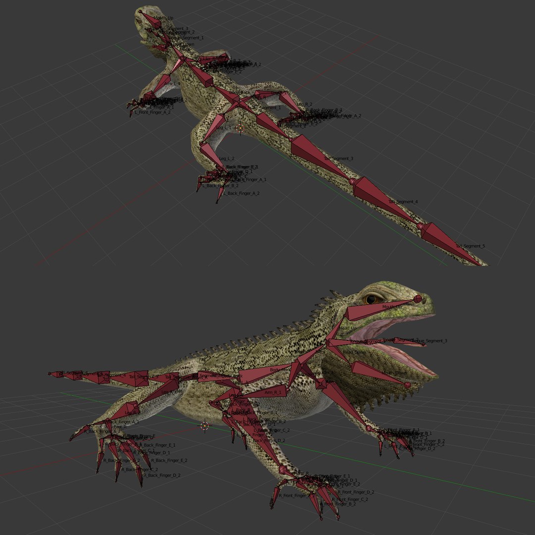 3d iguana rig animation model