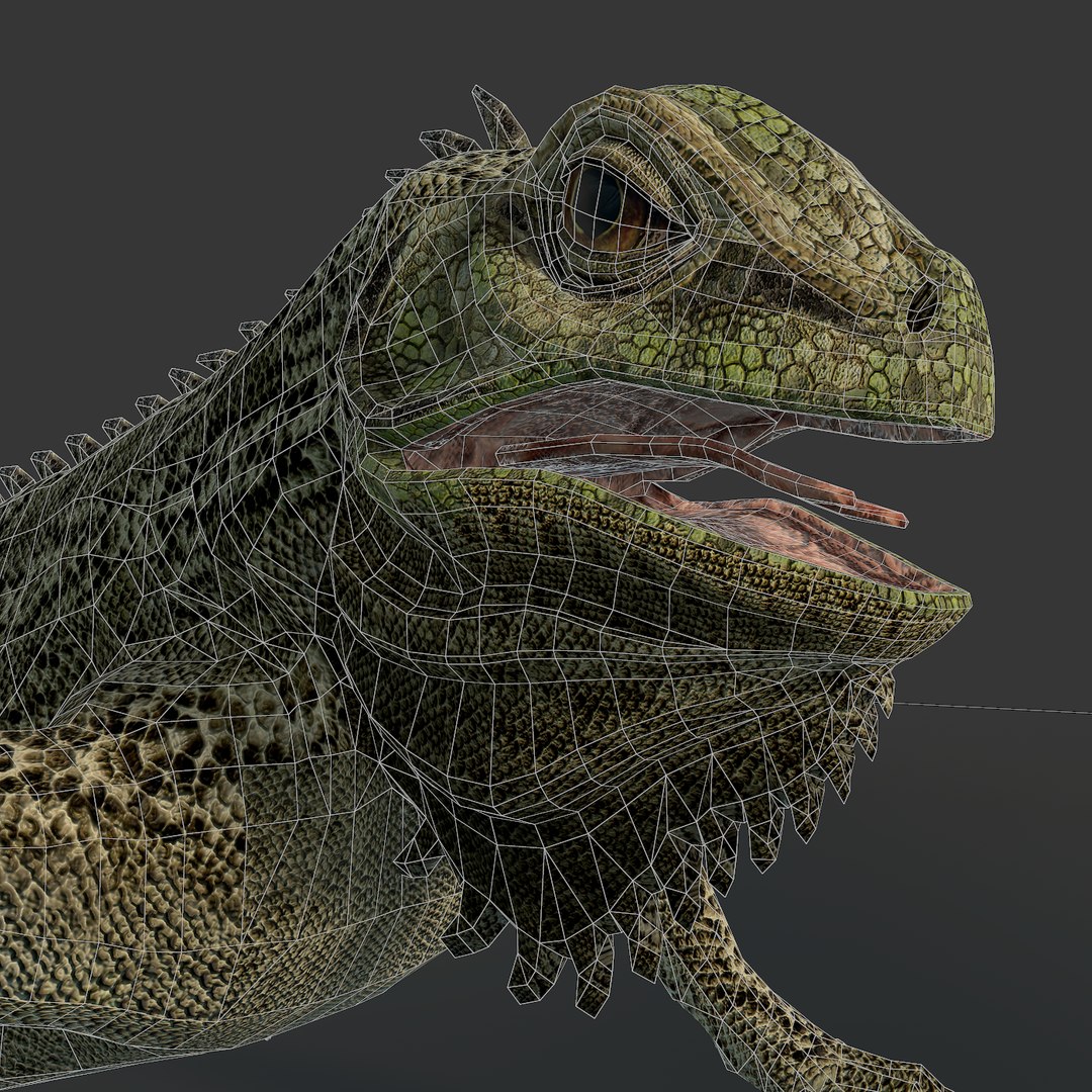 3d iguana rig animation model
