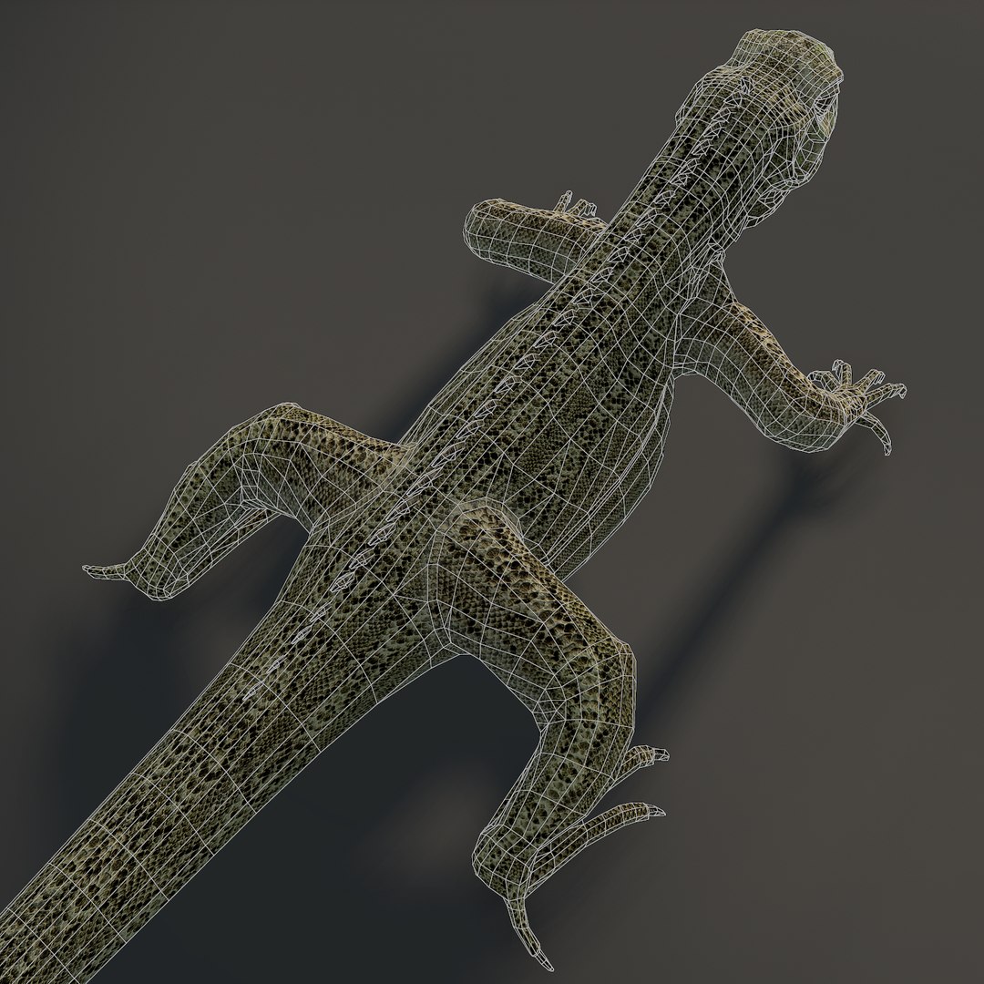 3d iguana rig animation model