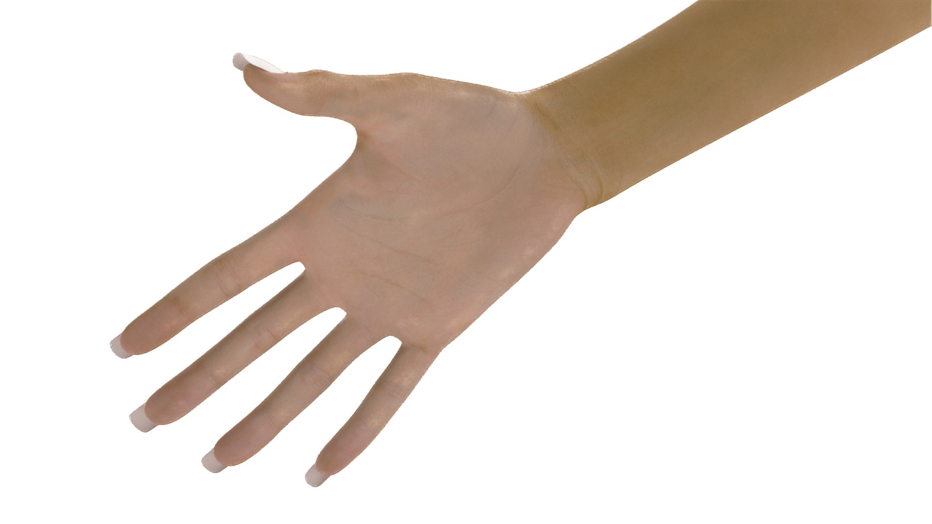 3D White Woman Hand Base Pose - TurboSquid 2185739