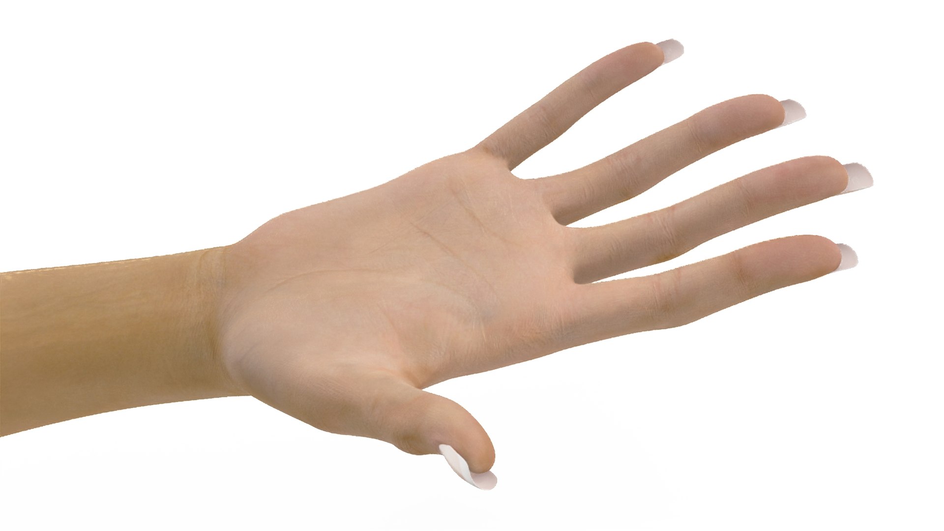 3D White Woman Hand Base Pose - TurboSquid 2185739