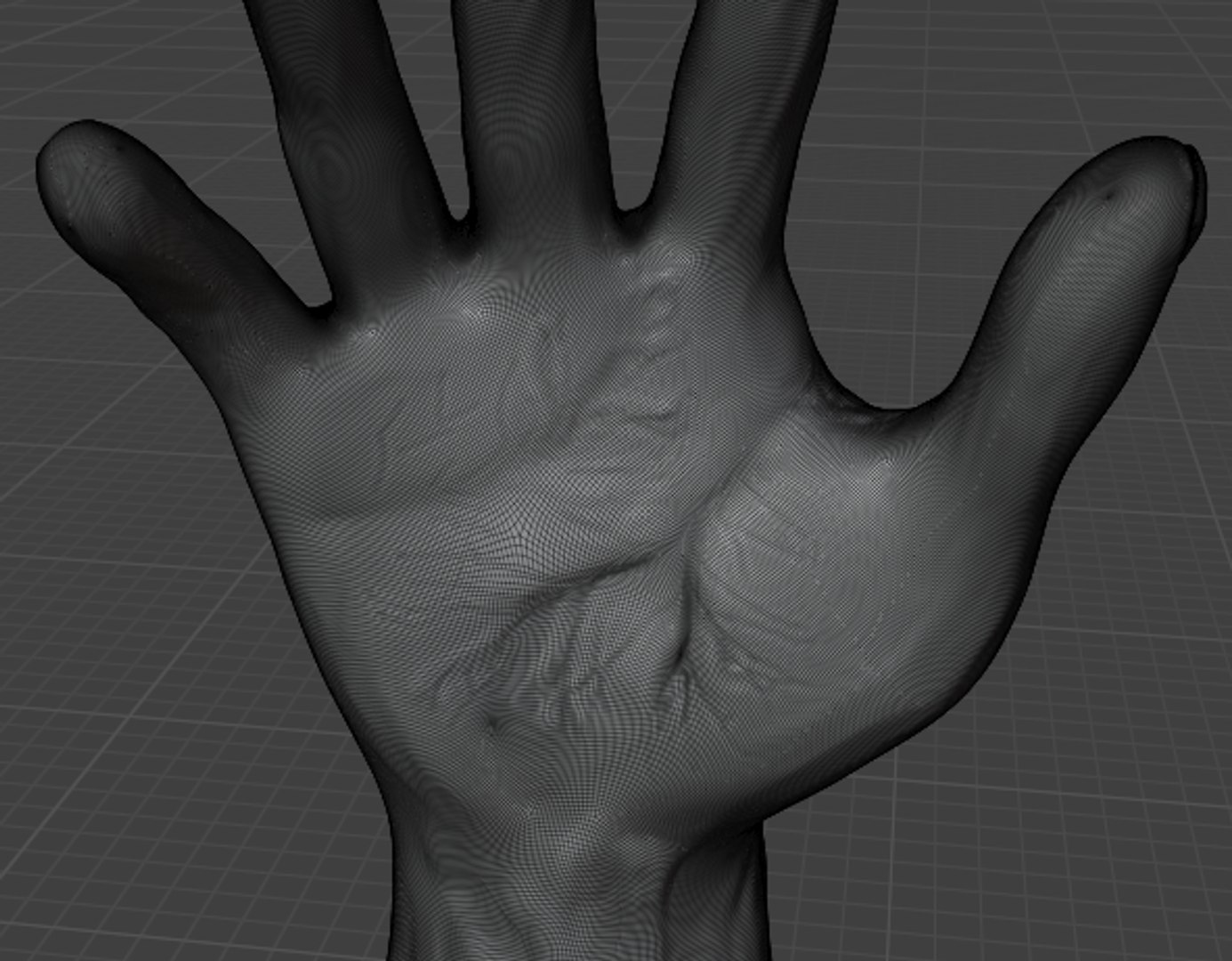 Hand 3D Model - TurboSquid 2319267
