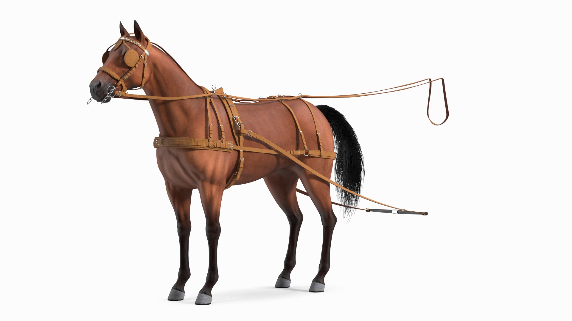 Horse Leather Single Driving Harness 3D Model - TurboSquid 2366326