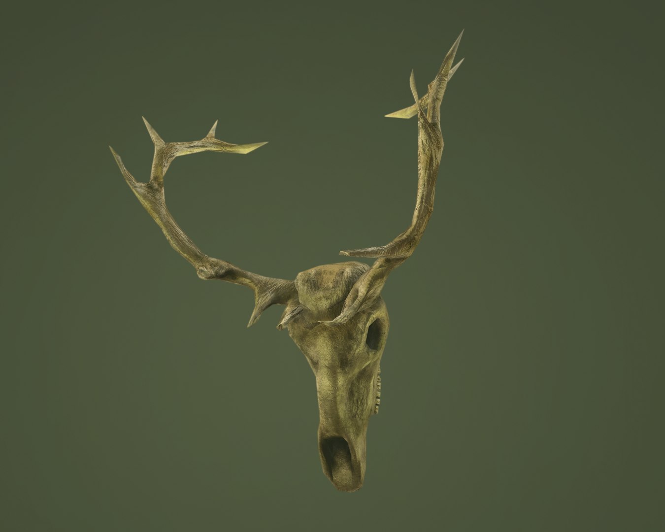 asset render 3d model