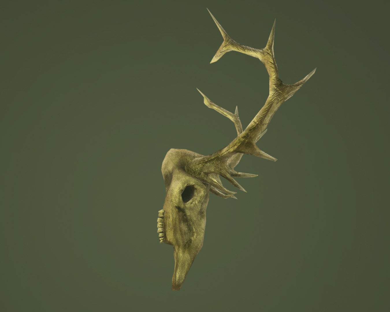 Asset Render 3d Model