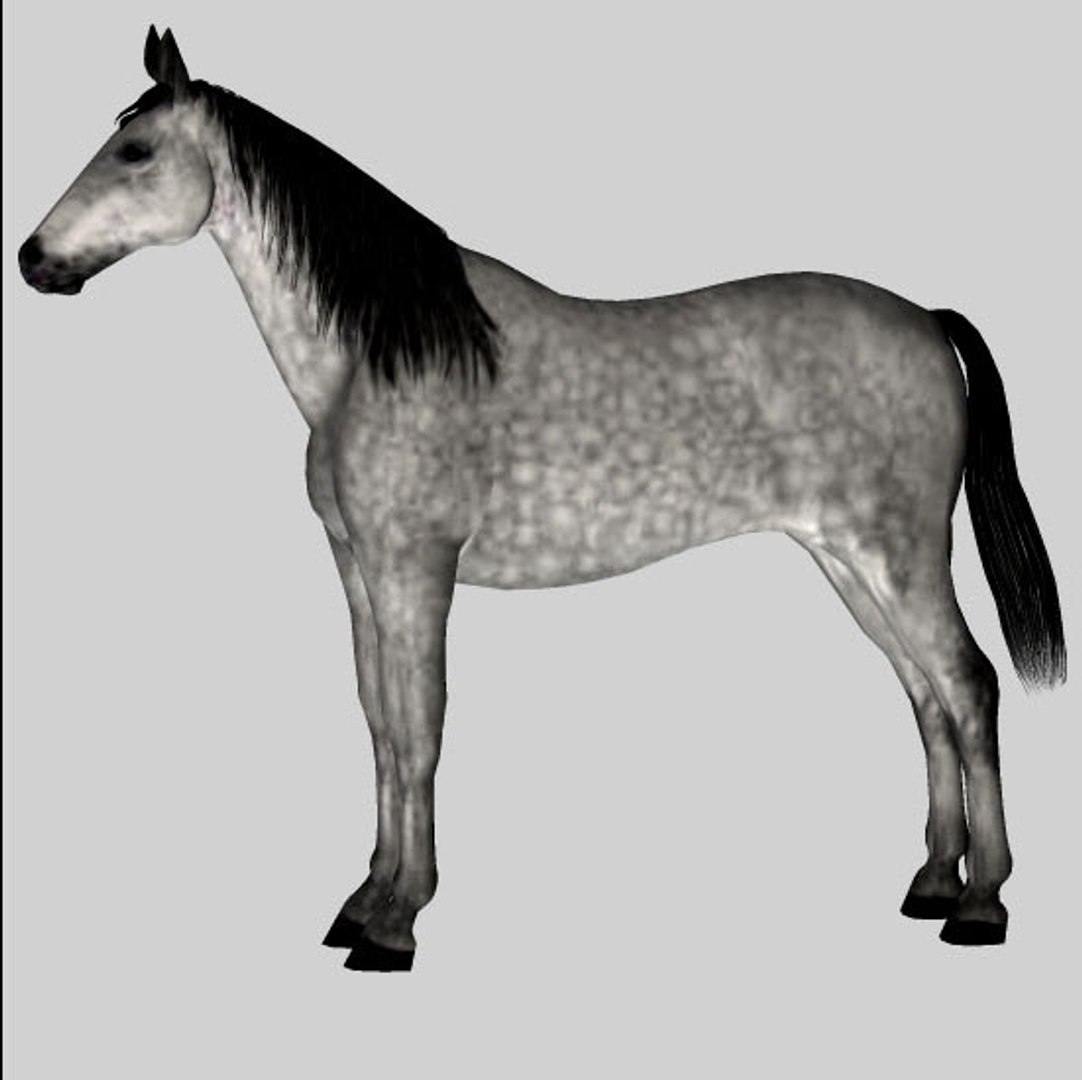 3d Model Of Horse Mare