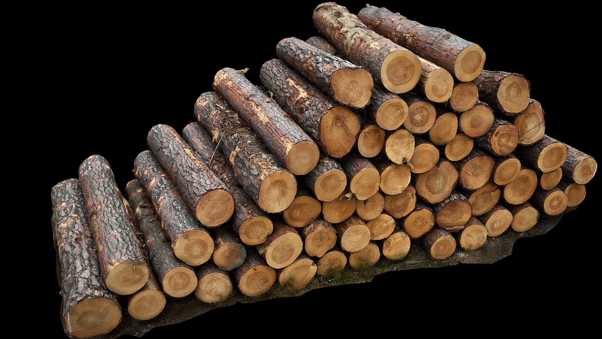 3D Woodlogs Pile Cutted Trees Forest Part4 Photogrammetry - TurboSquid ...