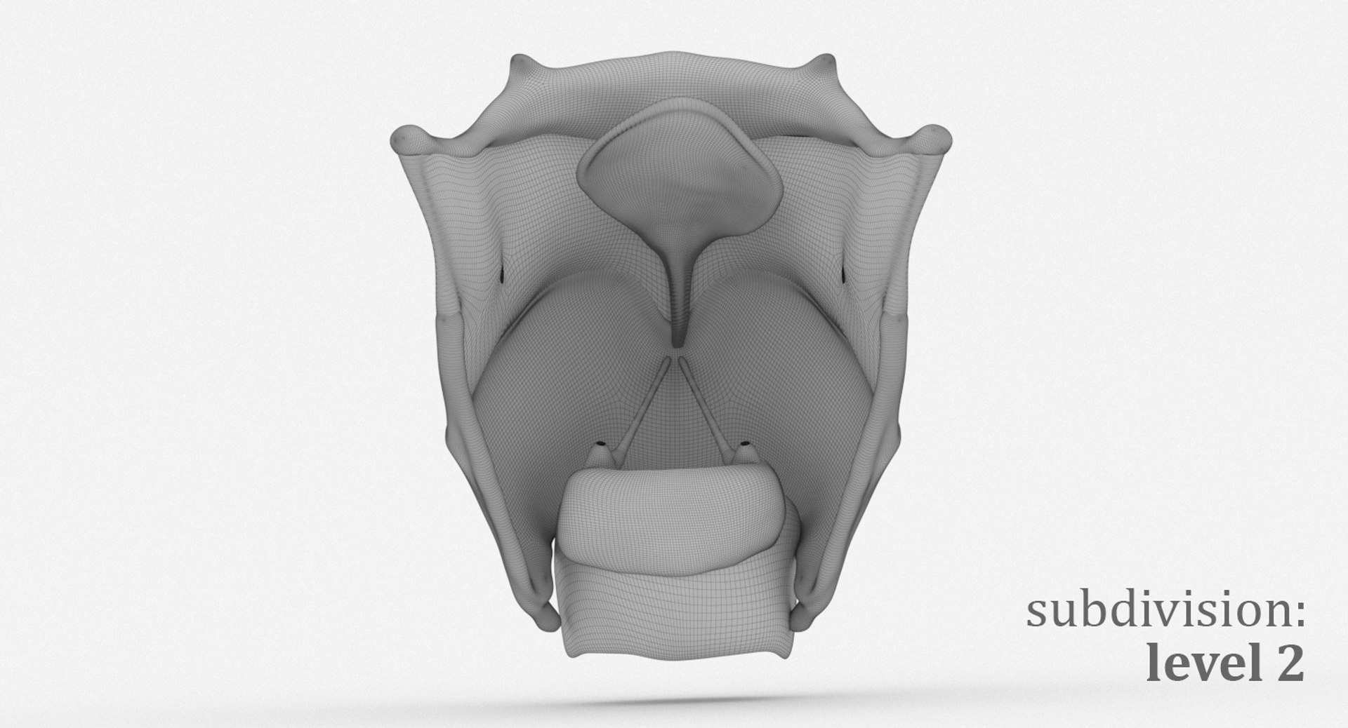 3D Model Human Larynx - TurboSquid 1176404