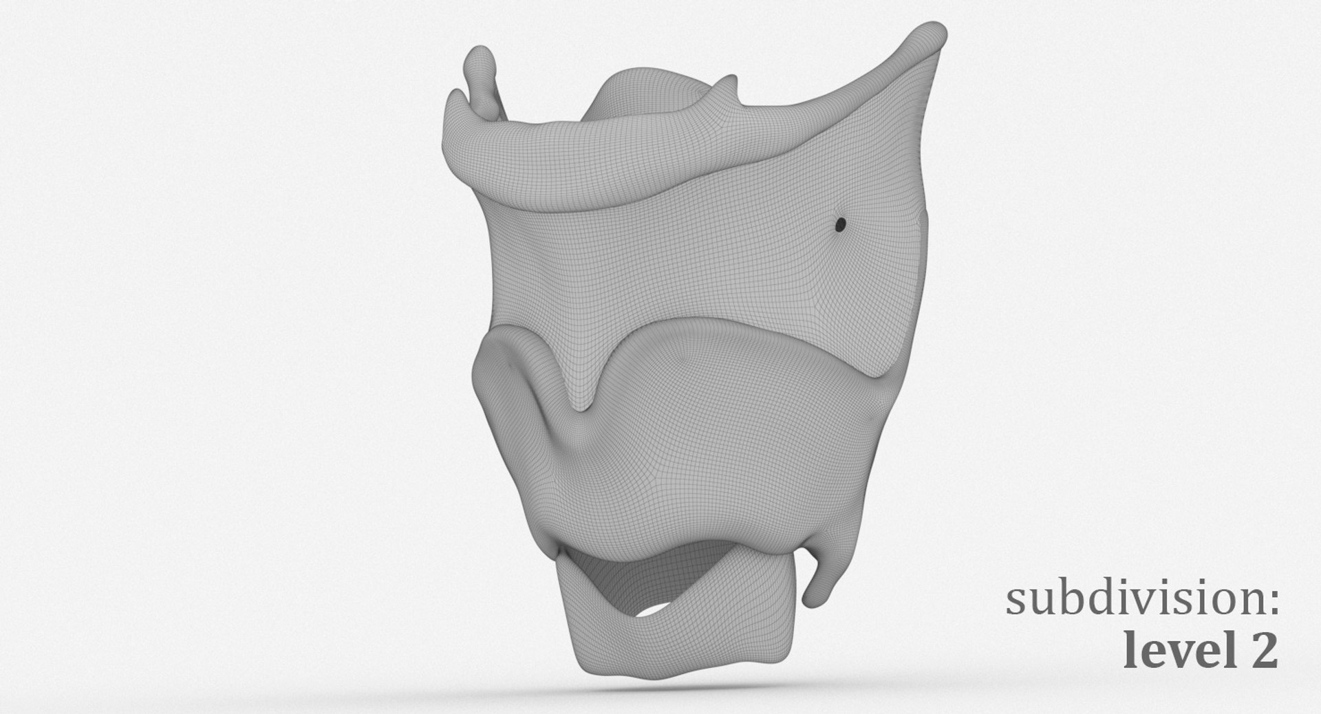 3D Model Human Larynx - TurboSquid 1176404
