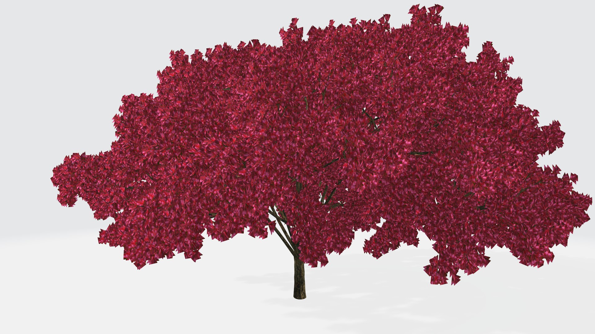 3D Red plant model - TurboSquid 1956148
